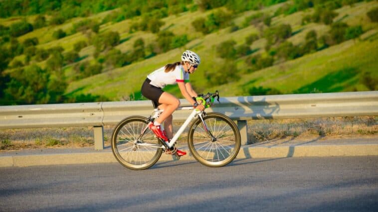 What are the 14 Different Bicycle Options and Styles? (The Ultimate ...